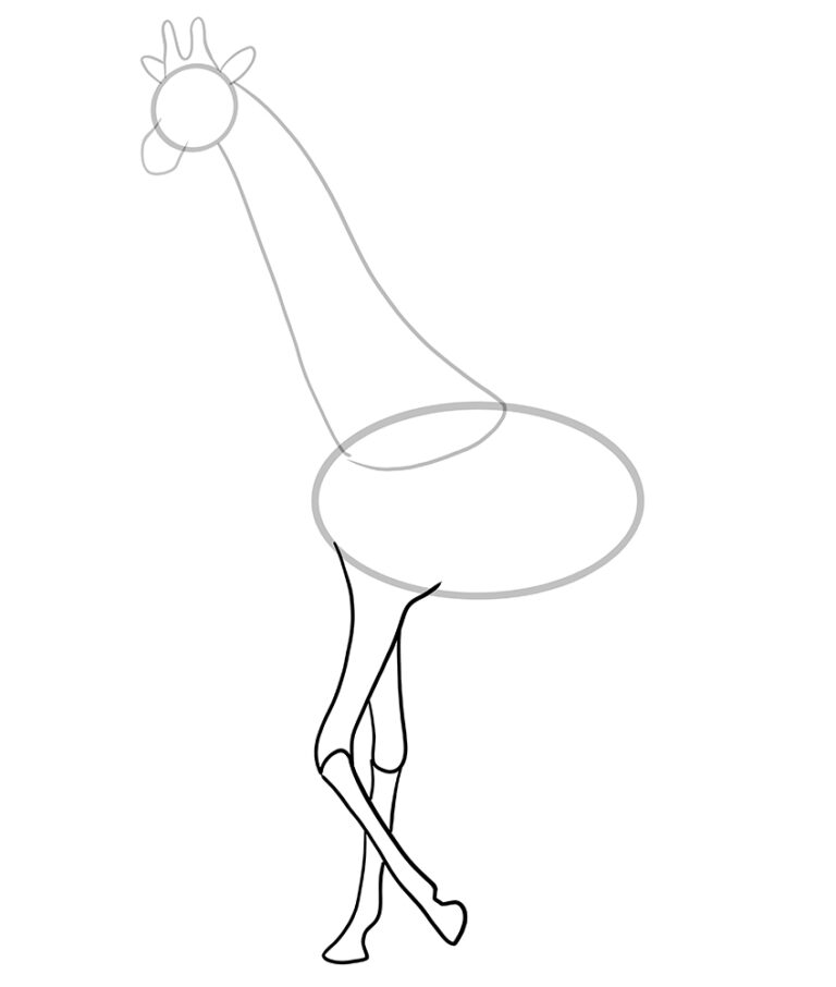 Giraffe zeichnen - Detaillierte Anleitung für deine Giraffen Zeichnung