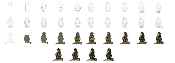 Affe zeichnen - Schritt für Schritt Anleitung für eine Affenzeichnung