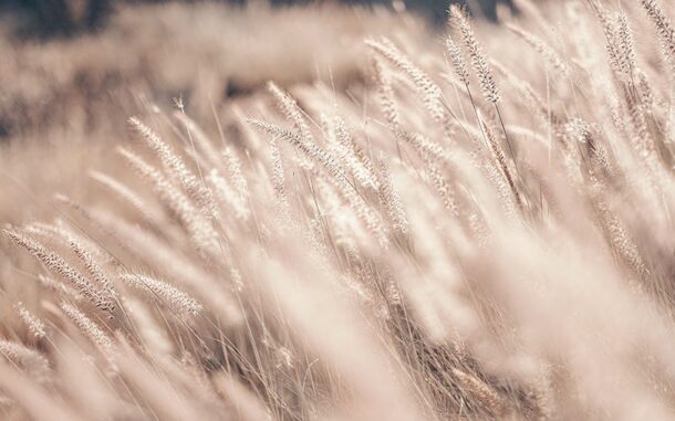 Indigo Farbe - Wie du diese tiefblau-violetten Farbtöne verwendest