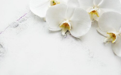 Indigo Farbe - Wie du diese tiefblau-violetten Farbtöne verwendest