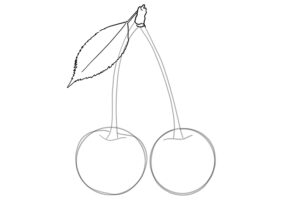 Kirsche zeichnen - Lerne eine realistische Kirsche zu malen