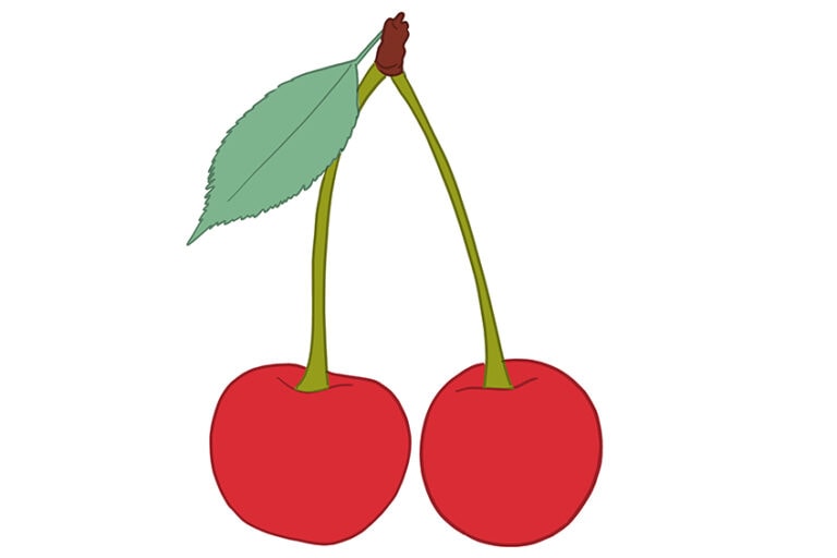 Kirsche zeichnen - Lerne eine realistische Kirsche zu malen